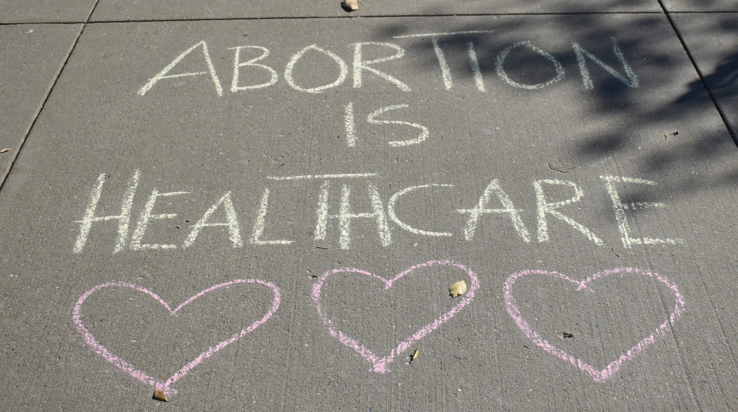 What About the People in Texas? A Reflection on the Supreme Court Oral ...